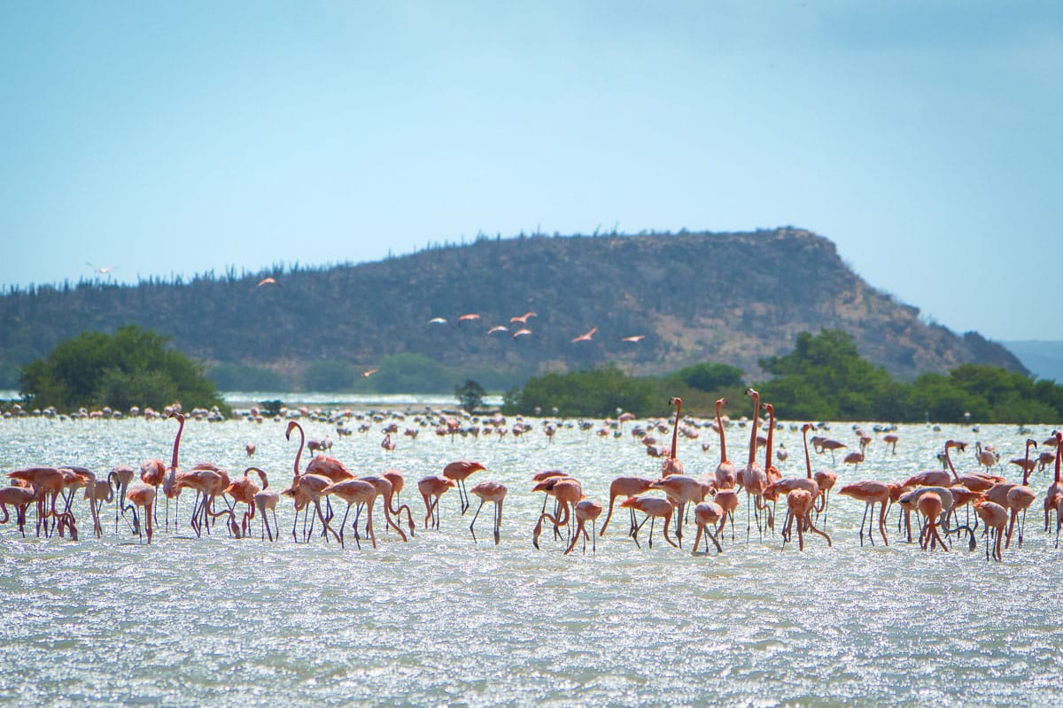 Visit Punta Gallinas travel guide: best to do in the Guajira desert ...