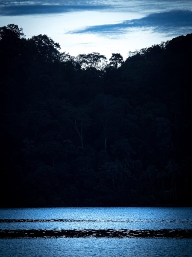 Utria National Park travel guide: natural wonder in the (2026) - My ...