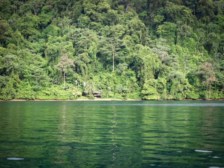 Utria National Park travel guide: natural wonder in the (2026) - My ...
