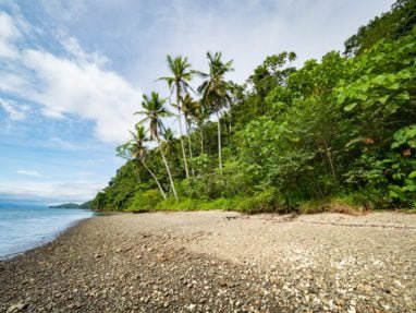 Utria National Park travel guide: natural wonder in the (2026) - My ...