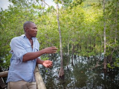 Utria National Park travel guide: natural wonder in the (2026) - My ...