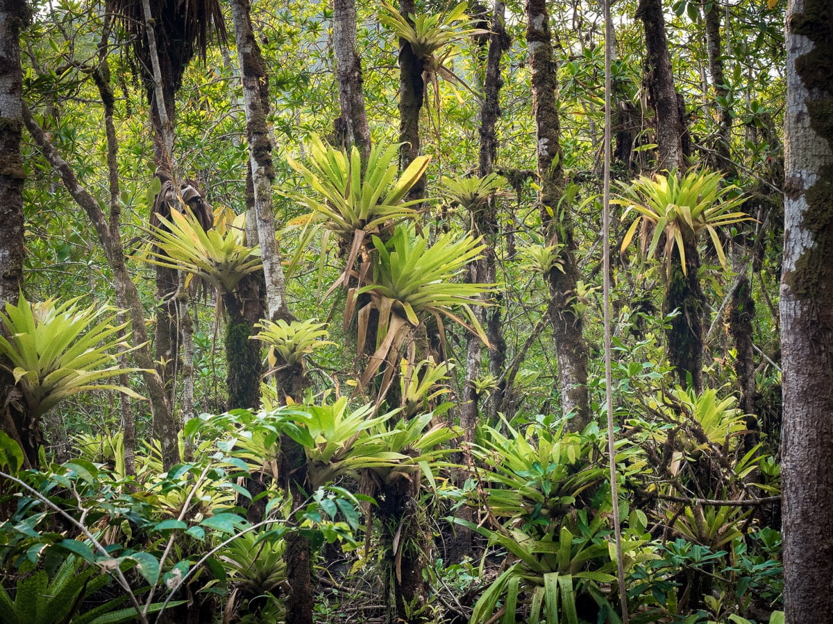 Utria National Park travel guide: natural wonder in the (2026) - My ...