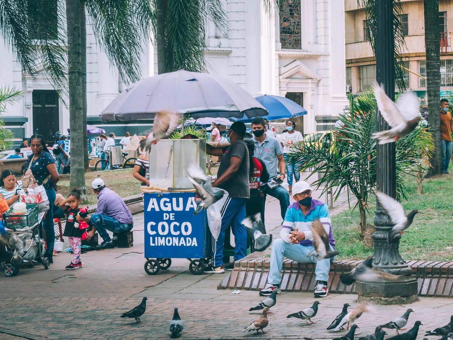 Cali Travel Guide: The best things to do and visit in Cali (2026) - My ...