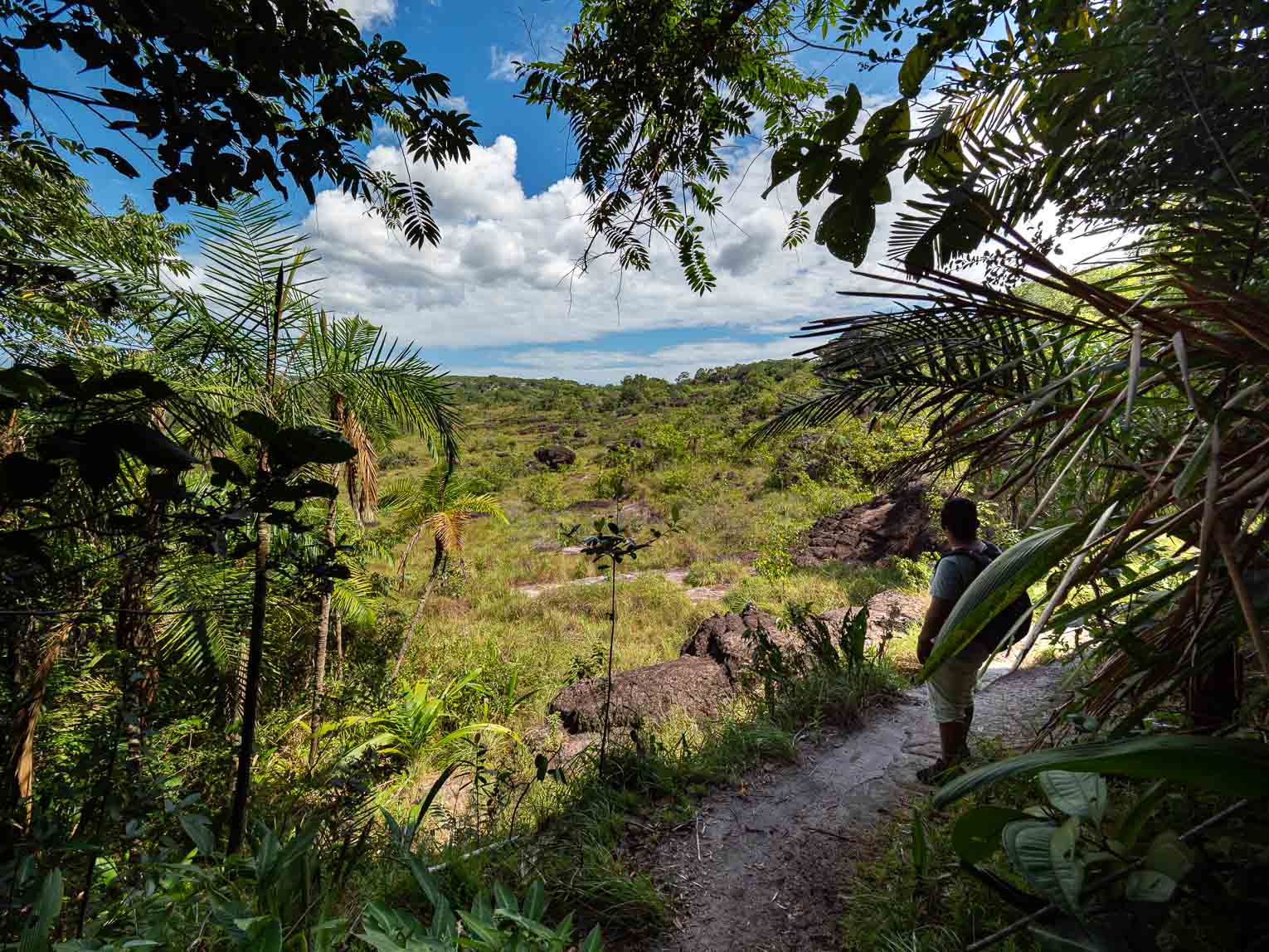 San José del Guaviare travel guide: visit the gateway to the colombian ...