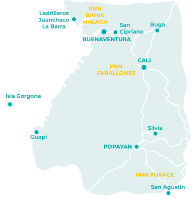 Cali practical Guide 2026: All you need to know to visit Cali
