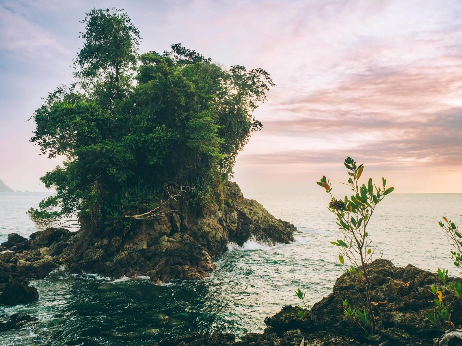 Punta Brava travel guide: 3 days in paradise on the pacific (2026) - My ...