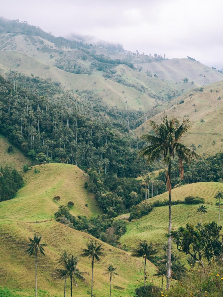 The real Colombian landscapes that inspired Disney's (2026) - My trip ...
