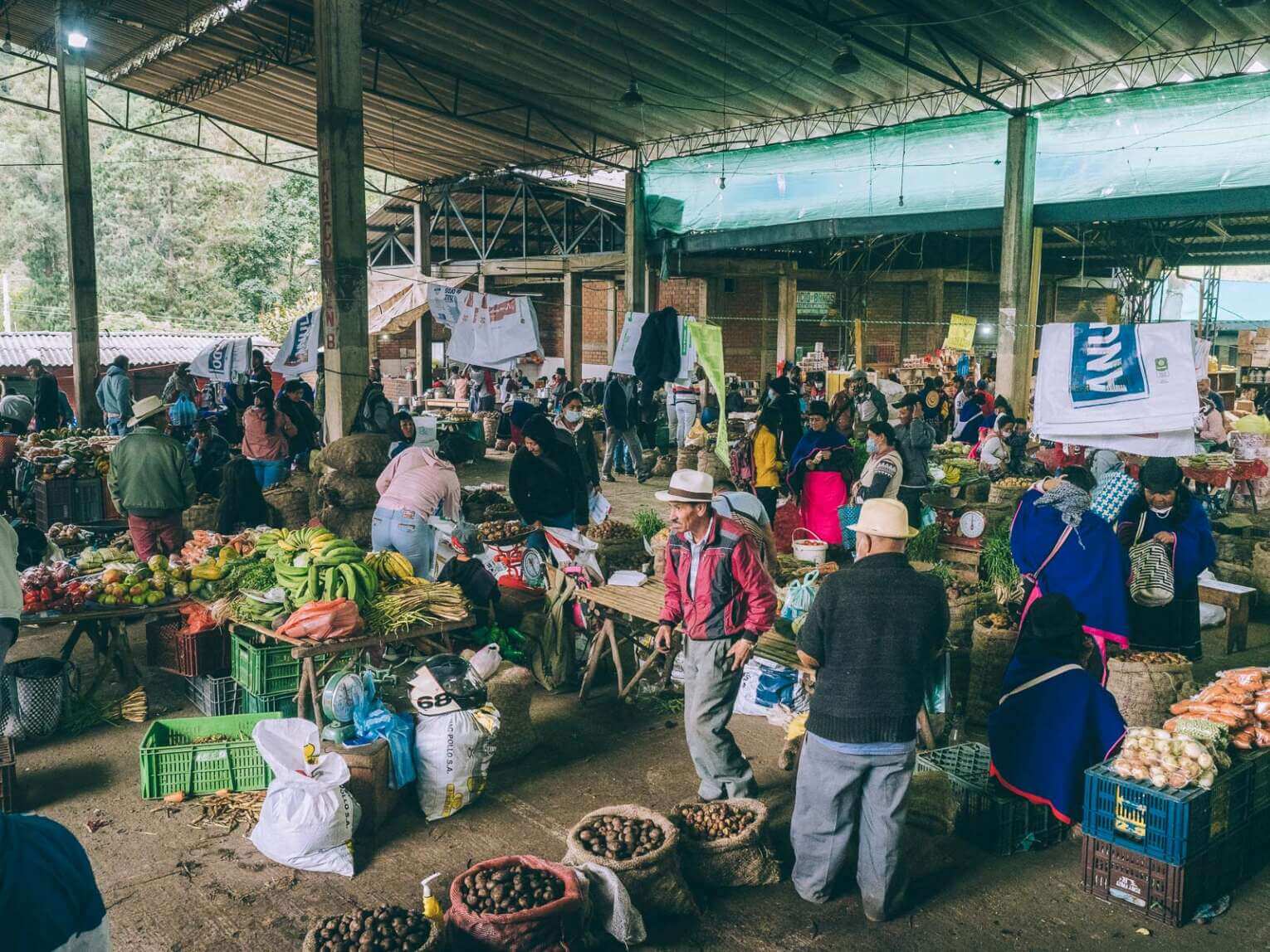Silvia travel guide: cultural immersion in the Misak indigenous ...