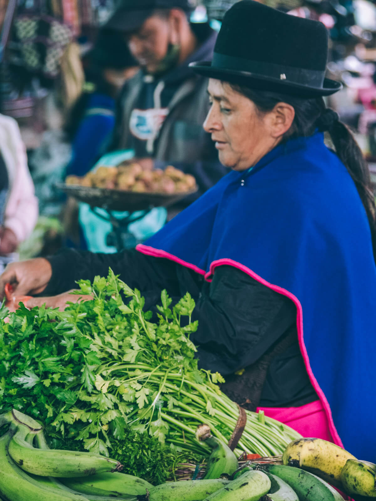 Silvia travel guide: cultural immersion in the Misak indigenous ...