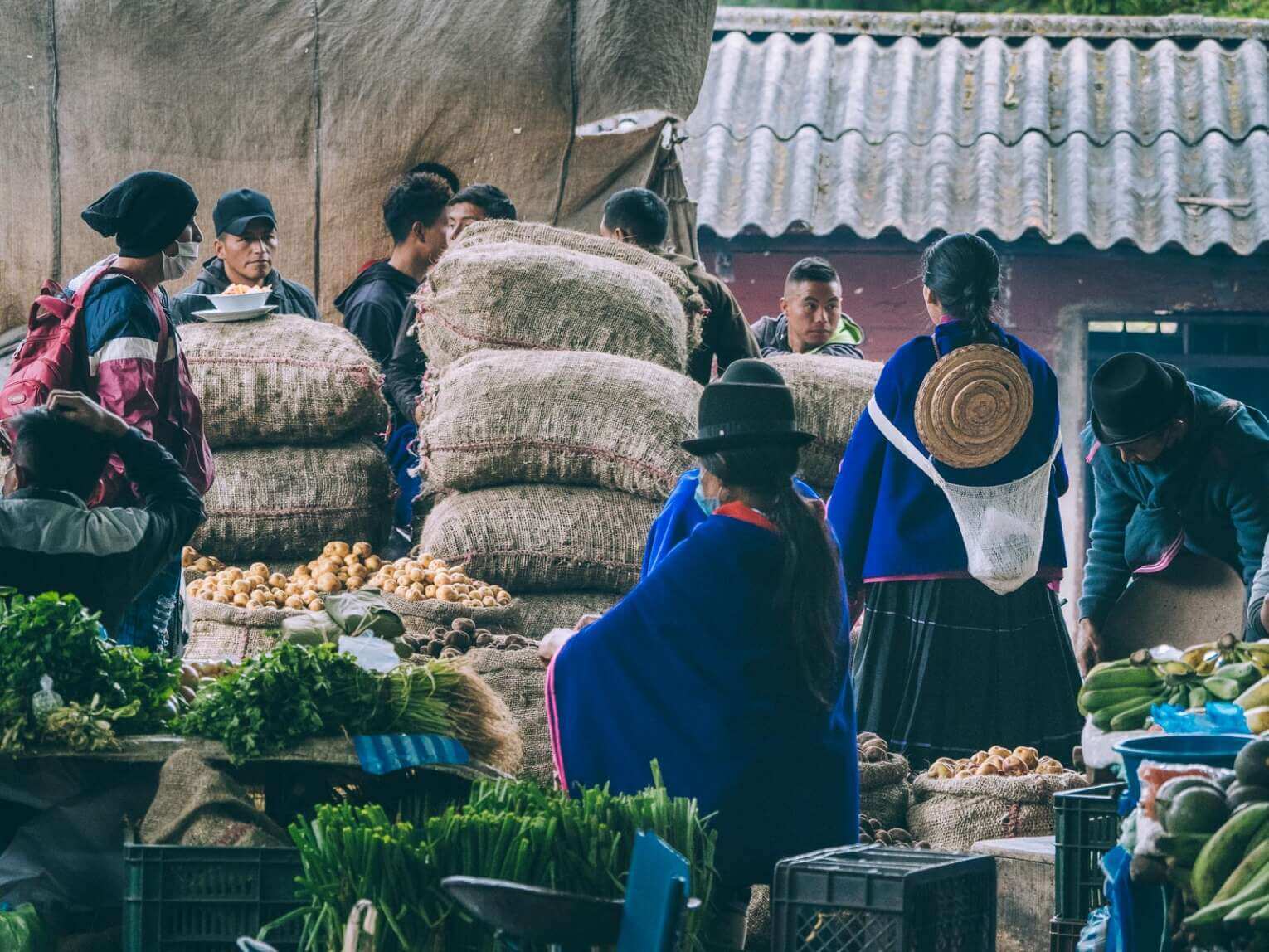 Silvia travel guide: cultural immersion in the Misak indigenous ...