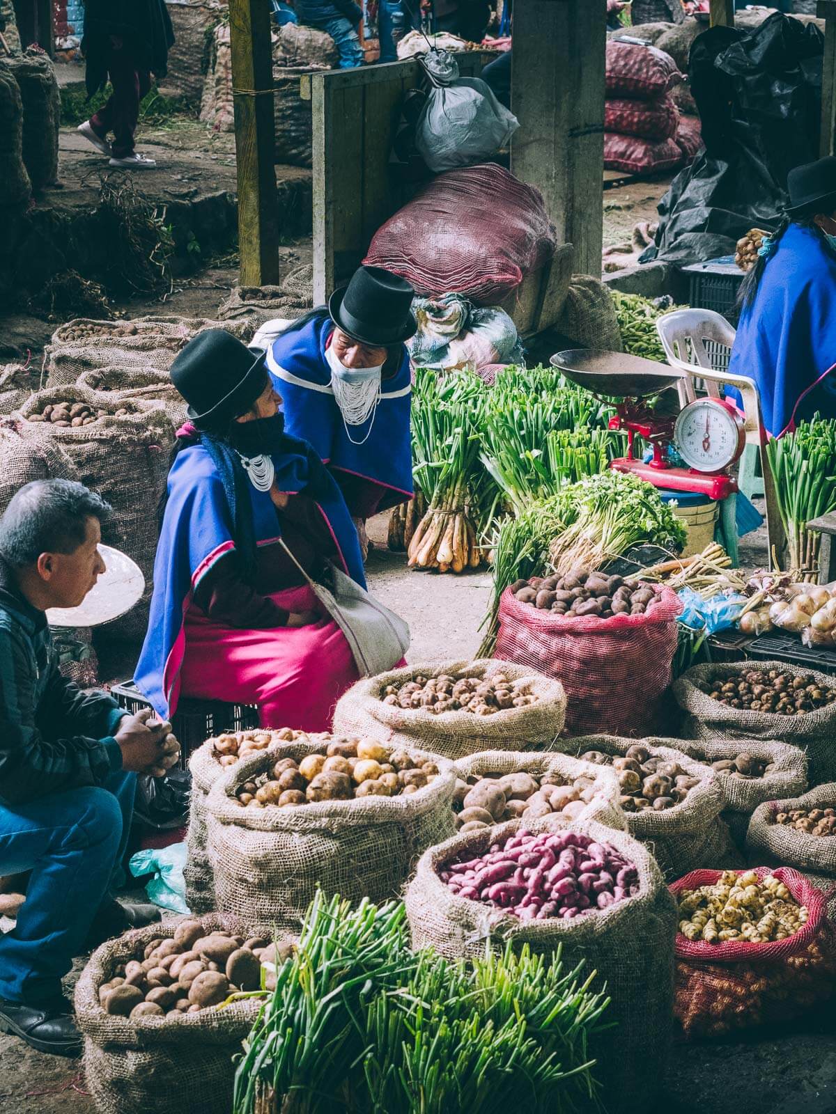 Silvia travel guide: cultural immersion in the Misak indigenous ...