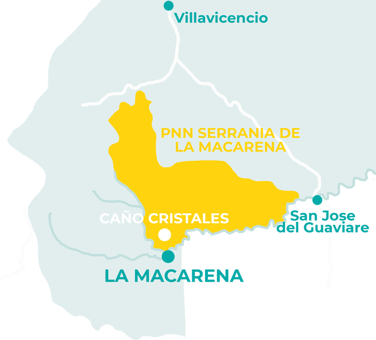 Caño Cristales travel guide: visit the most beautiful river in the ...