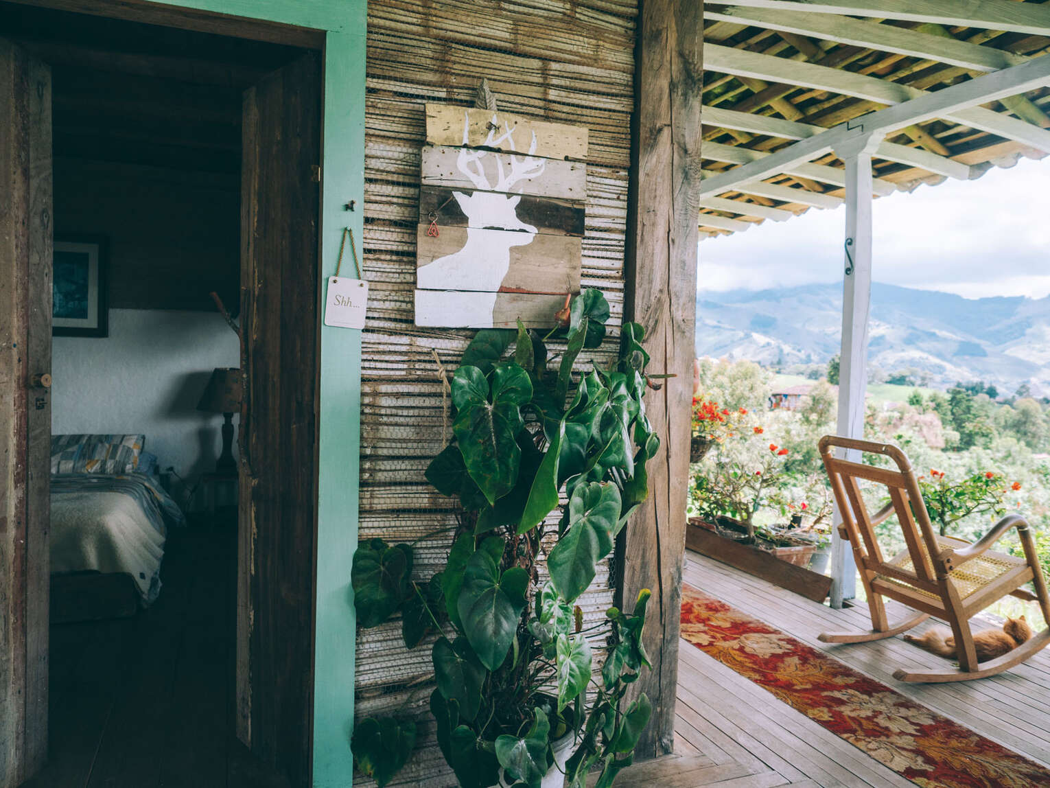 San Felix and the Samaria Valley travel guide: visit the other wax palm ...