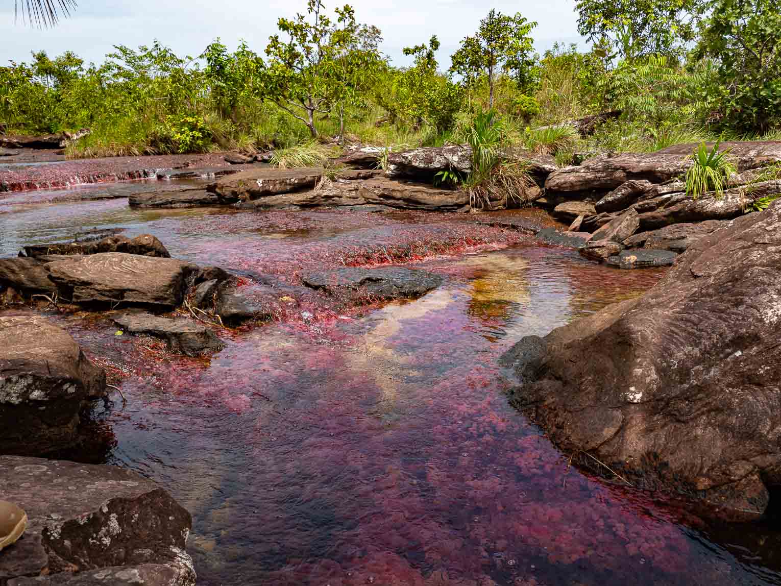 Caño Sabana, the river of 5 colors in Guaviare (the small caño ...