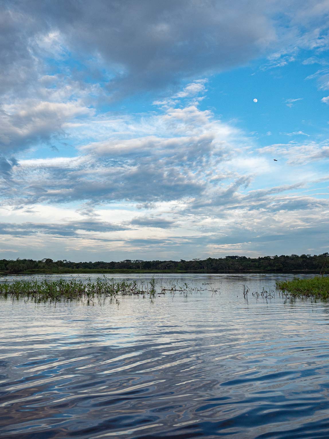 Visit Laguna Negra in the Guaviare region of Amazonia (2026) - My trip ...