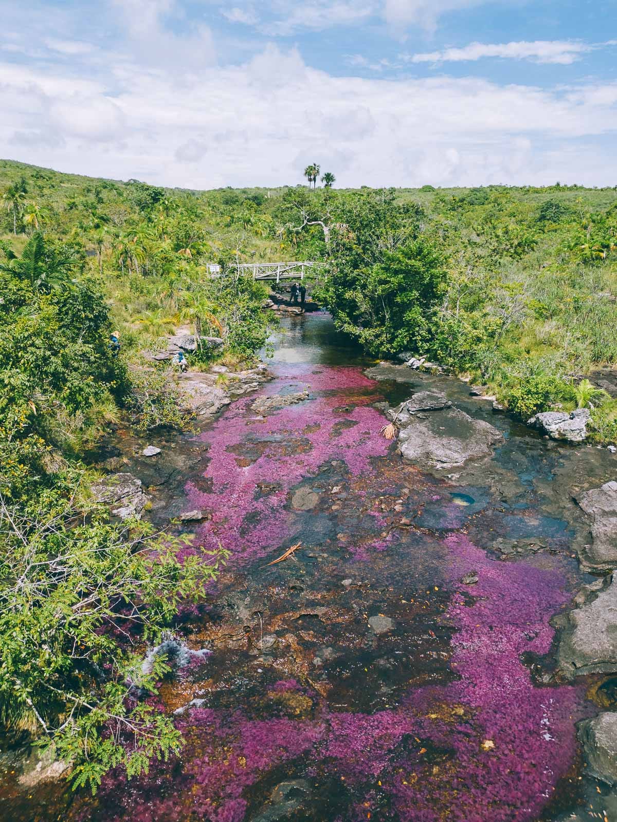 Caño Cristales travel guide: visit the most beautiful river in the ...