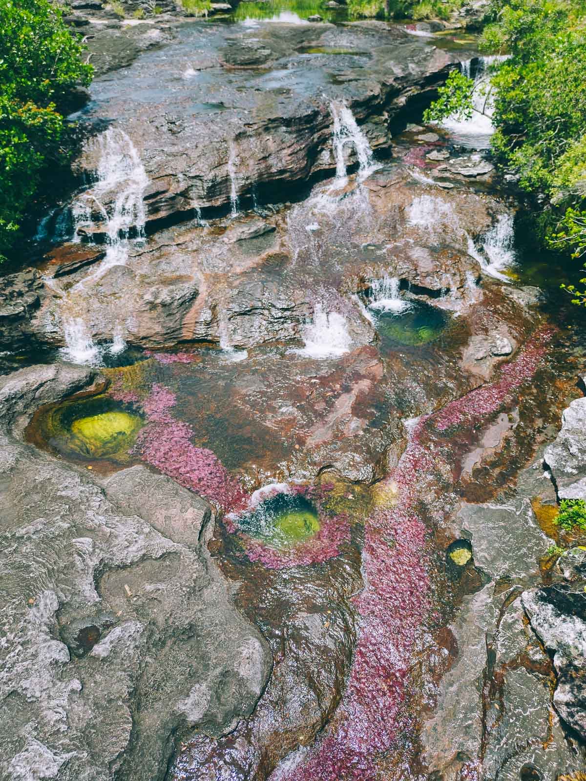 Caño Cristales travel guide: visit the most beautiful river in the ...