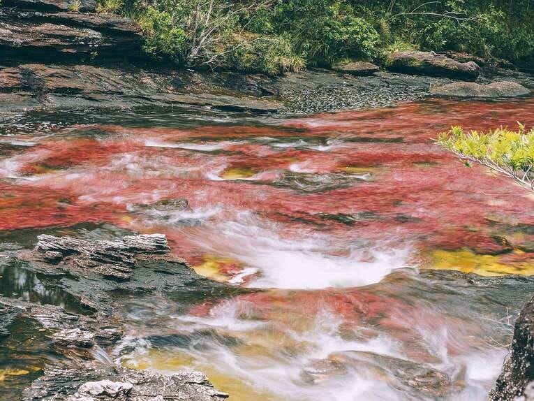 Caño Cristales travel guide: visit the most beautiful river in the ...