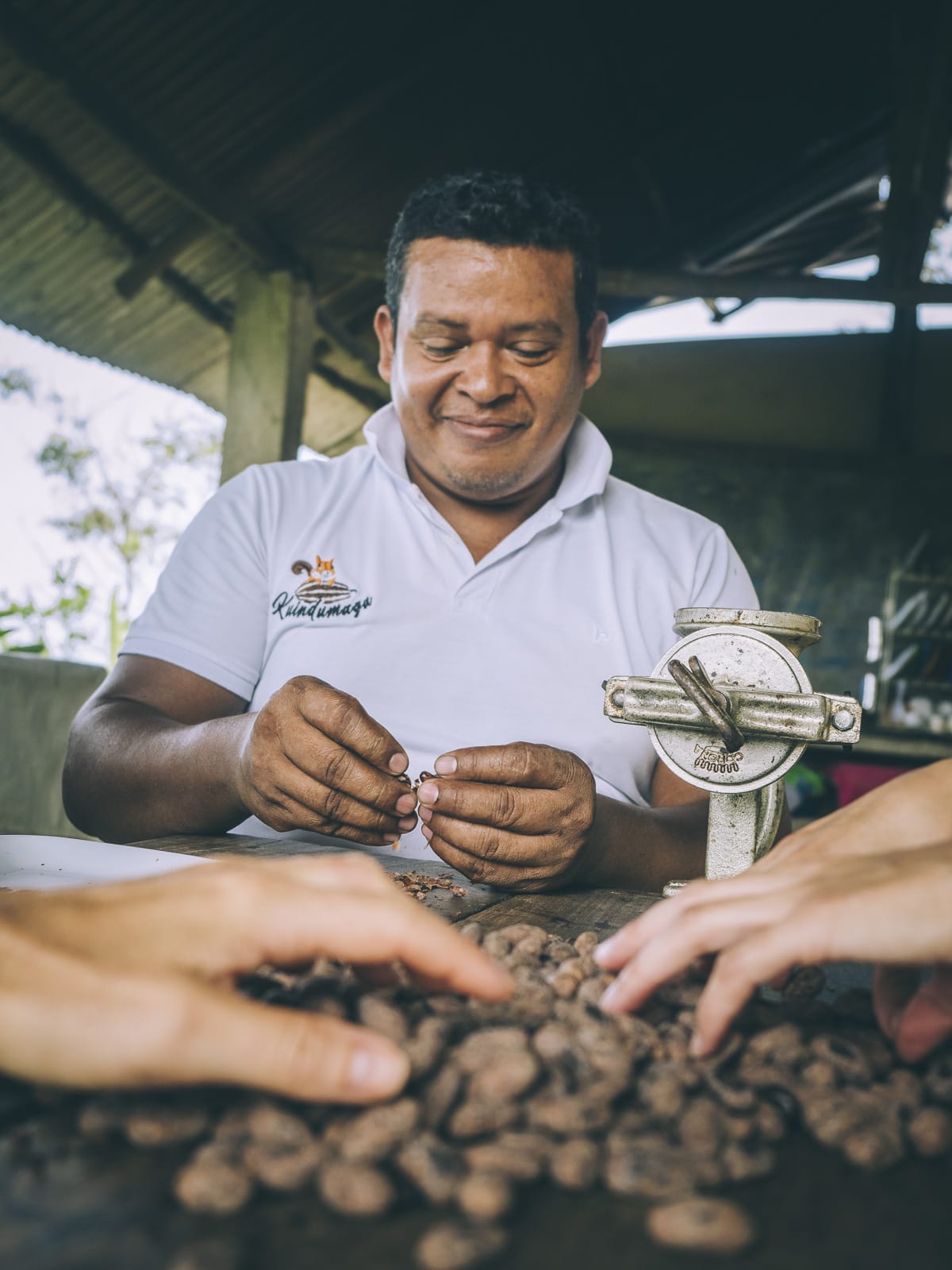 Visit a Cacao farm in the Sierra Nevada de Santa Marta (2026) - My trip ...