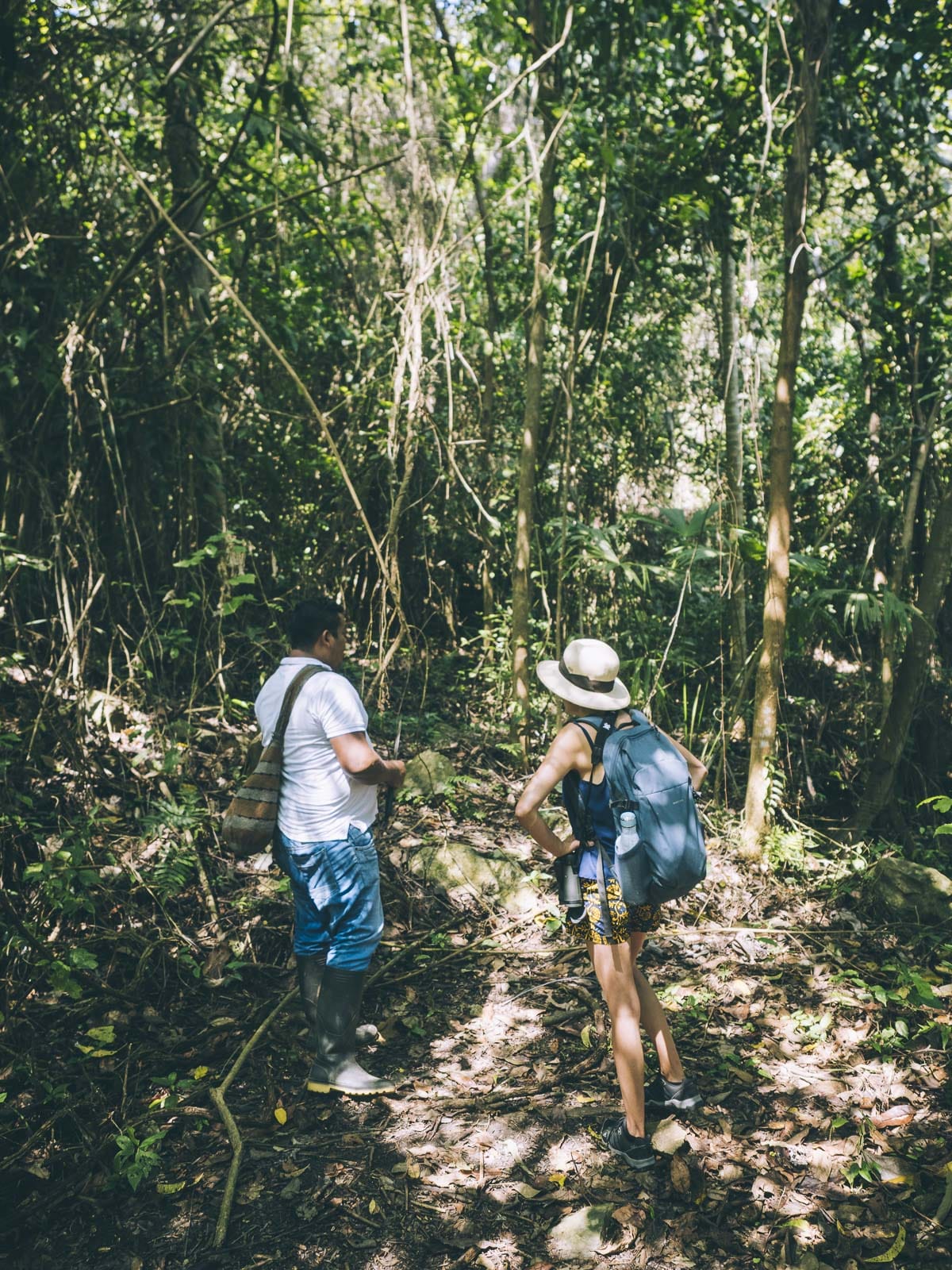 Visit a Cacao farm in the Sierra Nevada de Santa Marta (2026) - My trip ...